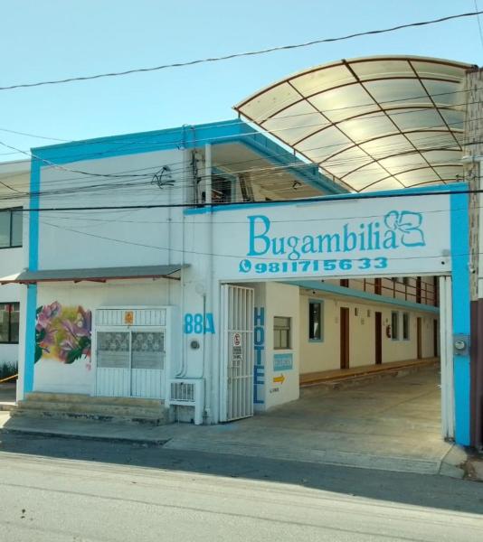 Bugambilia Campeche - Campeche