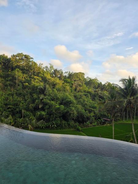 The Tirta Sari Villas - Bali