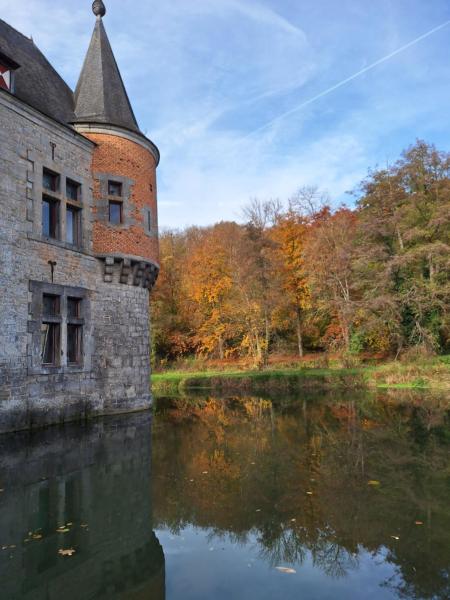 Gîte Du Château De Spontin - 7a Chaussée De Dinant - 5530 Spontin - Ciney
