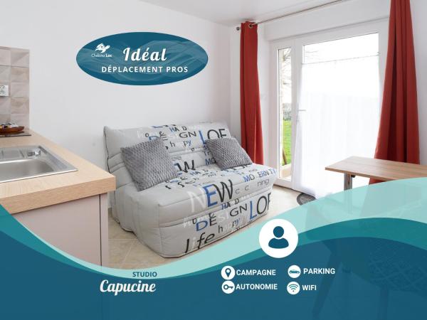 Studio Capucine - Terrasse Privative - Chelona'loc - Mirambeau