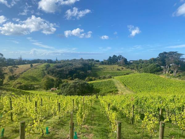 Stay On A Cottage In A Vineyard On Waiheke Island - Waiheke Island