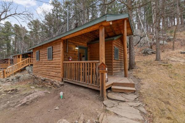 Angler’s Haven Cabin: Black Hills Quiet Escape - Mount Rushmore, SD