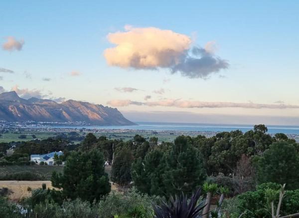 13 Olives, Entire Grape & Olive Estate, Somerset West By Euphoric Leisure - Somerset West