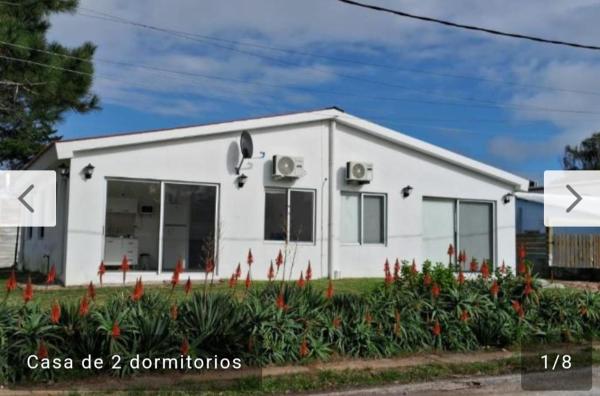 Pequeña Tami - La Paloma