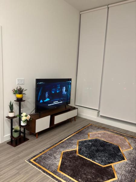 I Bed 1bath Sky-suite Apartment - New Westminster