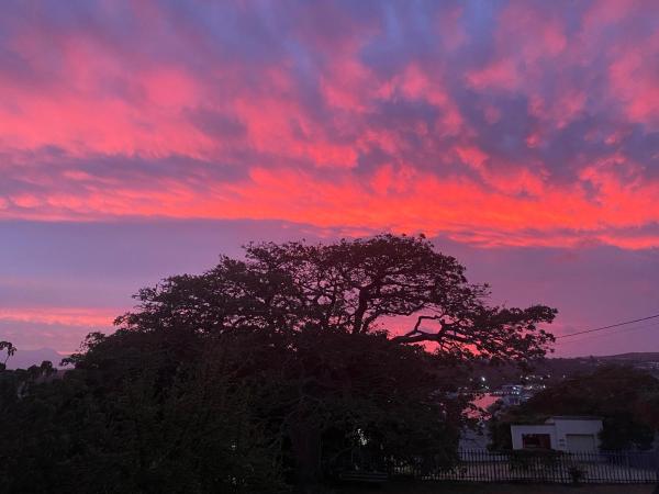 Beach Cresent Cottage - Port Alfred