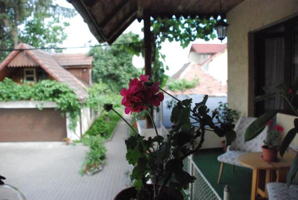 Saxon House&garden - Half Villa - 錫比烏
