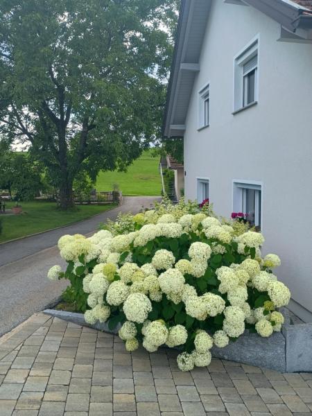 Landhaus Eichberger - Tittling