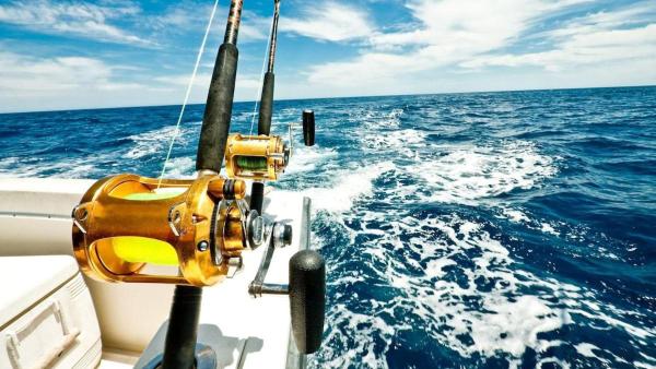 203 Mariners Club - Key Largo, FL