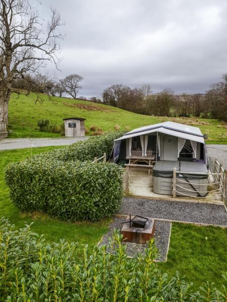 King Fisher - Rhayader