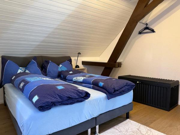 Apartment In Düdingen - Fribourg