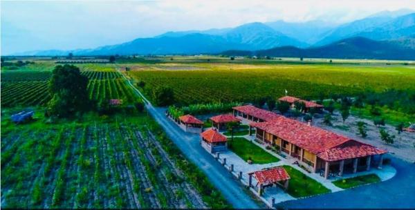 Gugoshvili's Cellar - Республика Дагестан