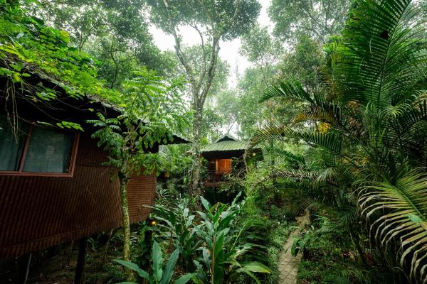 Monsoon Retreats By Daan - Thekkady