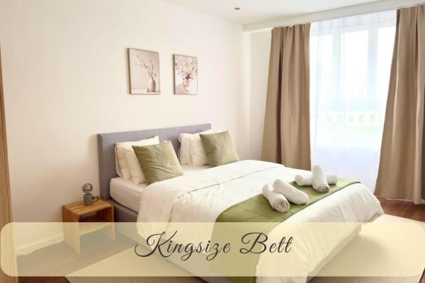2 Zimmer Apartment In Der Altstadt Von Sankt Gallen - Appenzell