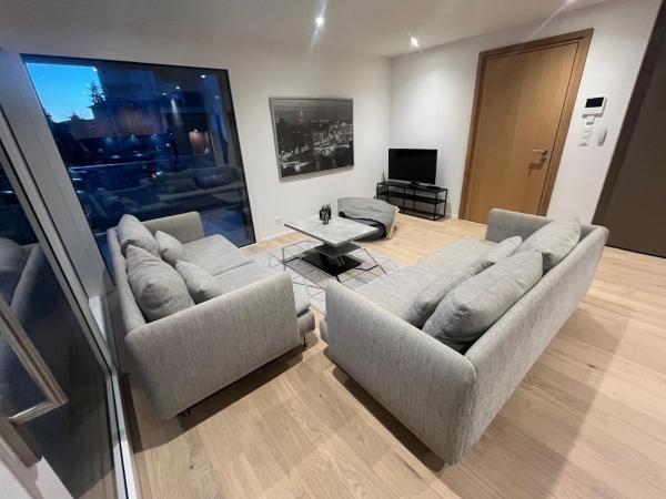 Newly Built 2-bed Flat With Parking In Pully - Losanna