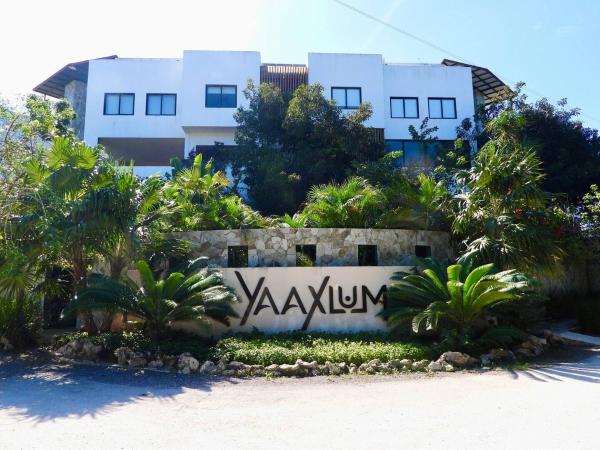 New! Yaxxlum 2br, Pool, Jacuzzi Hotube Heushaven - Tulum
