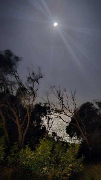 Alkira Ridge Sunrise At 1770 - Agnes Water