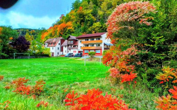 Ferienwohnungen Renate Brandes - Gößweinstein