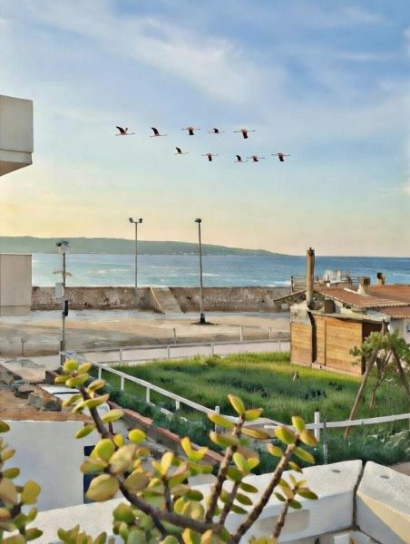 Casa Campisi A 100 Mt Dal Mare Marzamemi - Marzamemi