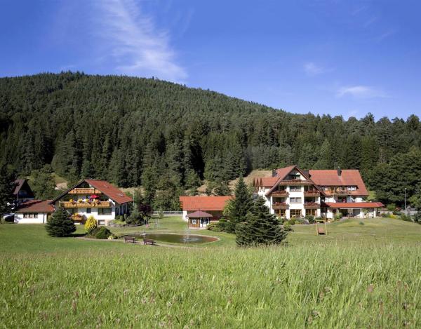 Landhaus Mühlengrund - Black Forest