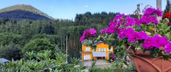 Gîte-forestier-du-moulin 10 Pers - Schirmeck