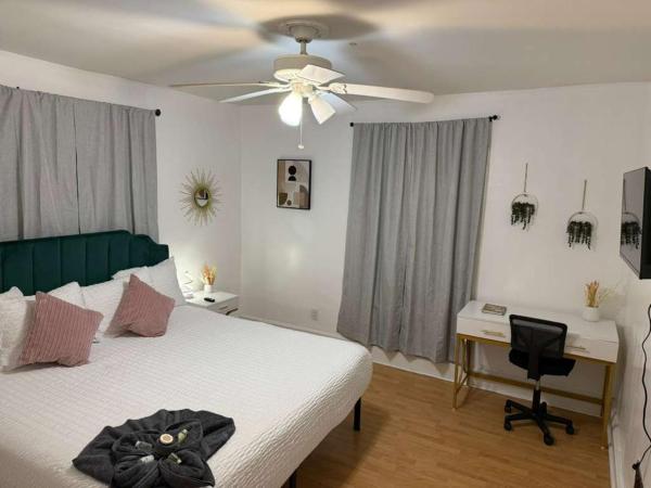 Hazel Private Room Near Yale, Hospitals & Downtown - New Haven, CT