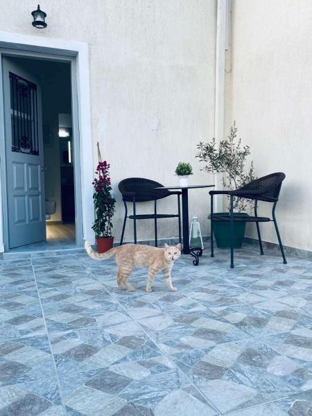 Leivadaros Apartments - Santorini