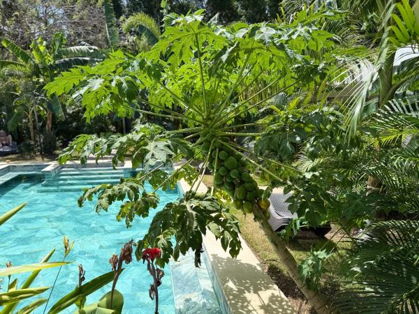 Hotel Good Life - Guanacaste Province
