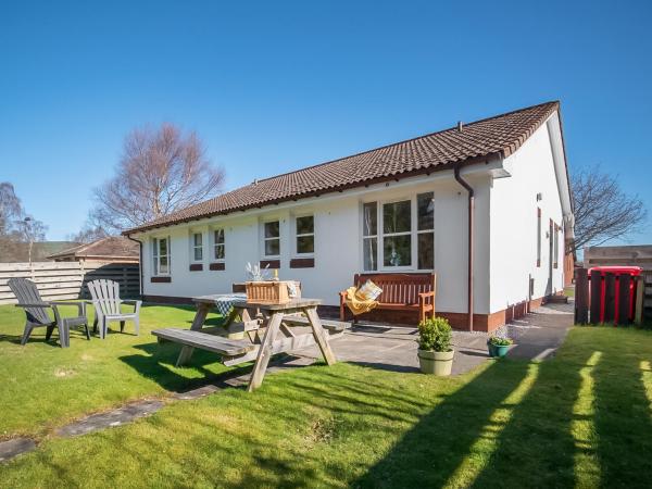 Eagle 3 Star - Ukc5056 - Aviemore