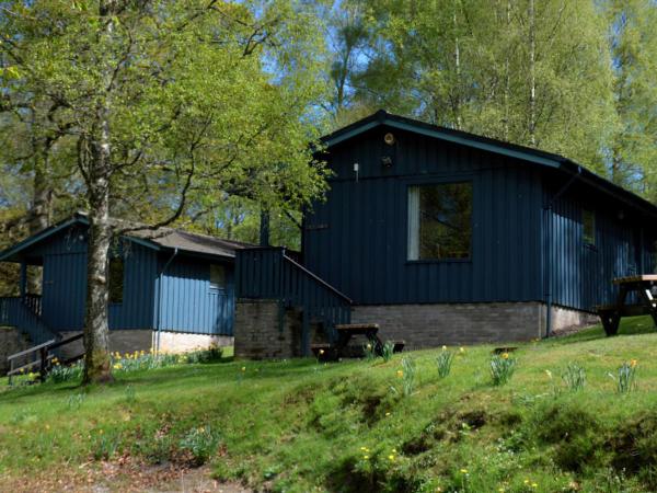 Pine Chalet 22 - Ukc5225 - Crieff