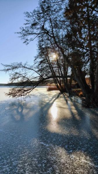 Kleine Holzhütte - Rheinsberg