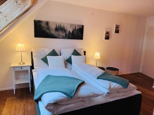 Schwarzwald Geißentalblick, Balkon, Sauna, 4 Personen - Feldberg