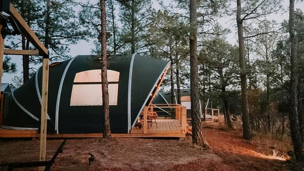 Quiet Escape Beneath New Mexico Skies - Torreon, NM
