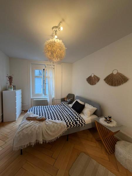 Central Cozy Rooms - Zurich