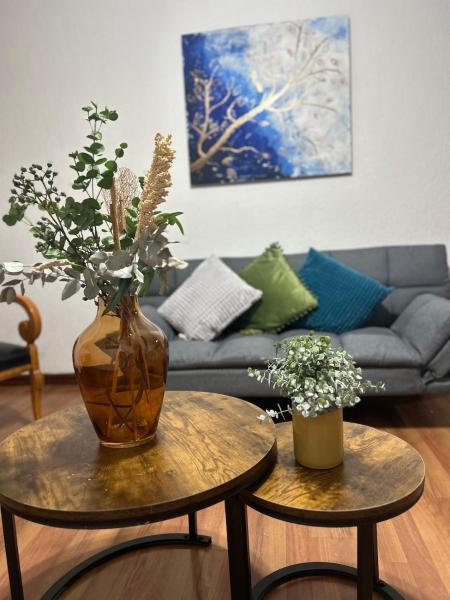 Acogedor Y Céntrico Departamento - Jalisco