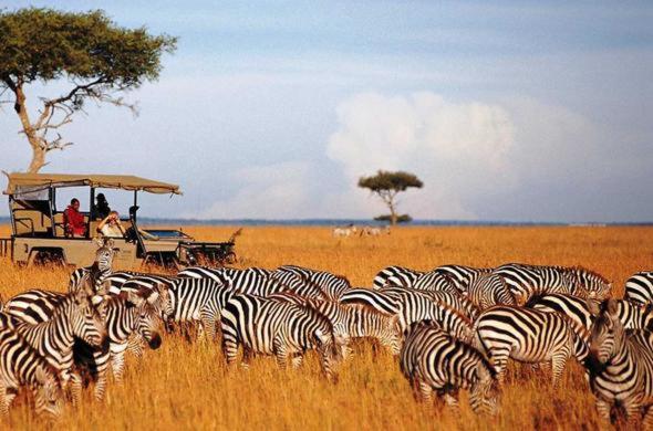 Mogli Adventure - Tanzania