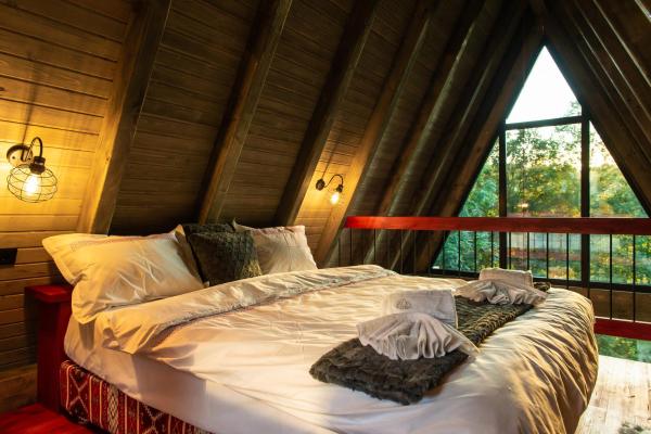 Hai La Munte Bran - Bran