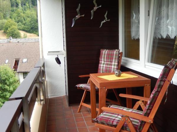 Auszeit Mit Pool - Studio 35 Qm - Sehr Zentral Gelegen - Todtnau