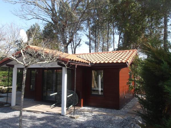 Chalet - Biscarrosse