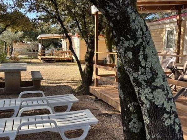 Mobile-home Spacieux, Terrasse - 5 Pers. - Api-1-52-2008 - Allègre-les-Fumades