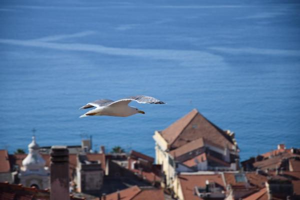 Casa Vacanze Casa Barbara - Finale Ligure
