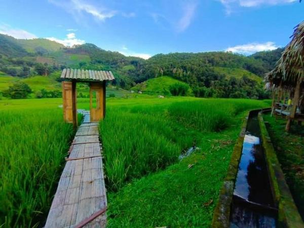 Nanon Homestay นานอน โฮมสเตย์ - タイ