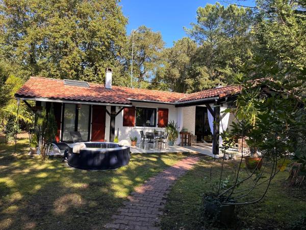 La Becada De Las Landas - Tosse