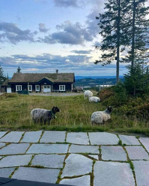 Authentic Family Cabin Experience At Sjusjøen - Norway