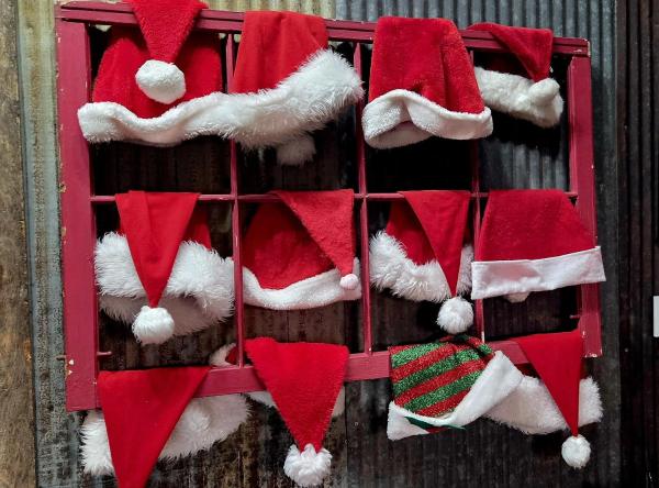 Rural Life On A Real Christmas Tree Farm! Hallmark Experience! - Arkansas
