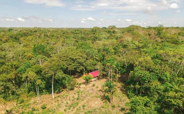 Panguana Lodge All Included - Amazonas, Colombia
