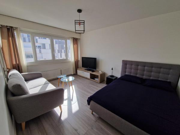 Studio Avec Cuisine Séparée Tout Proche De La Gare - Annemasse