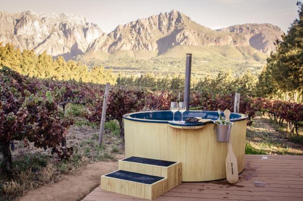 Genadendaal Vineyard Villa - Paarl