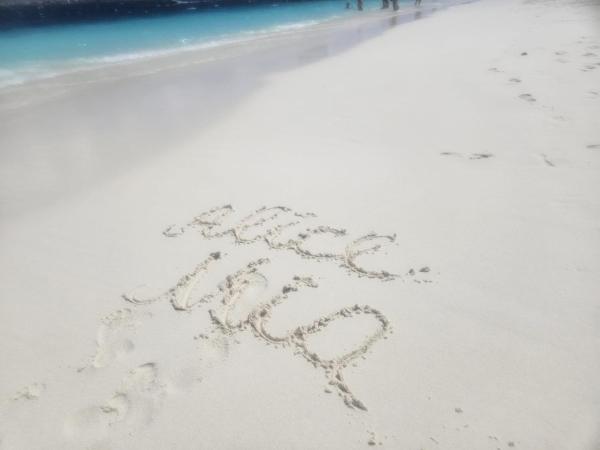 Studio Alice Mia - Bucarest