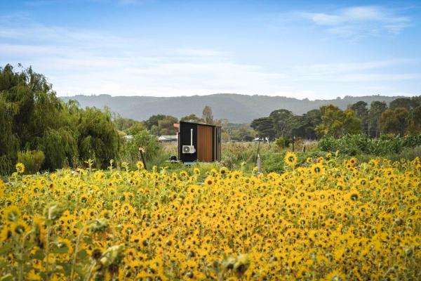 Revillaging Project By Tiny Away - Cape Schanck
